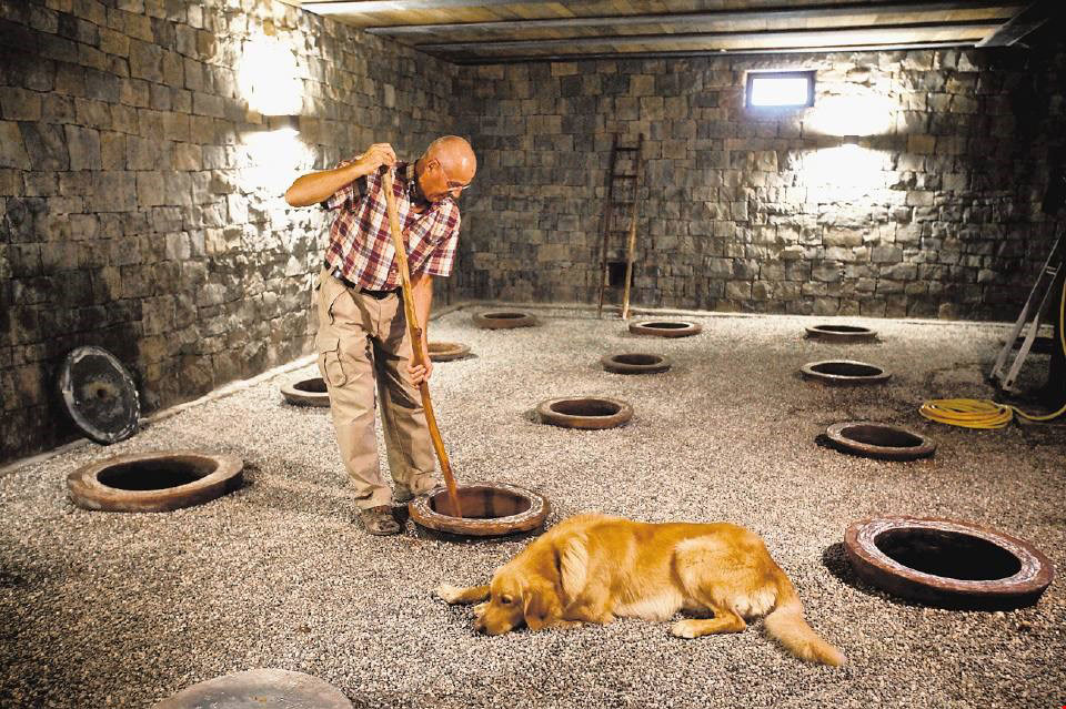 De beste wijnen van Josko Gravner kopen